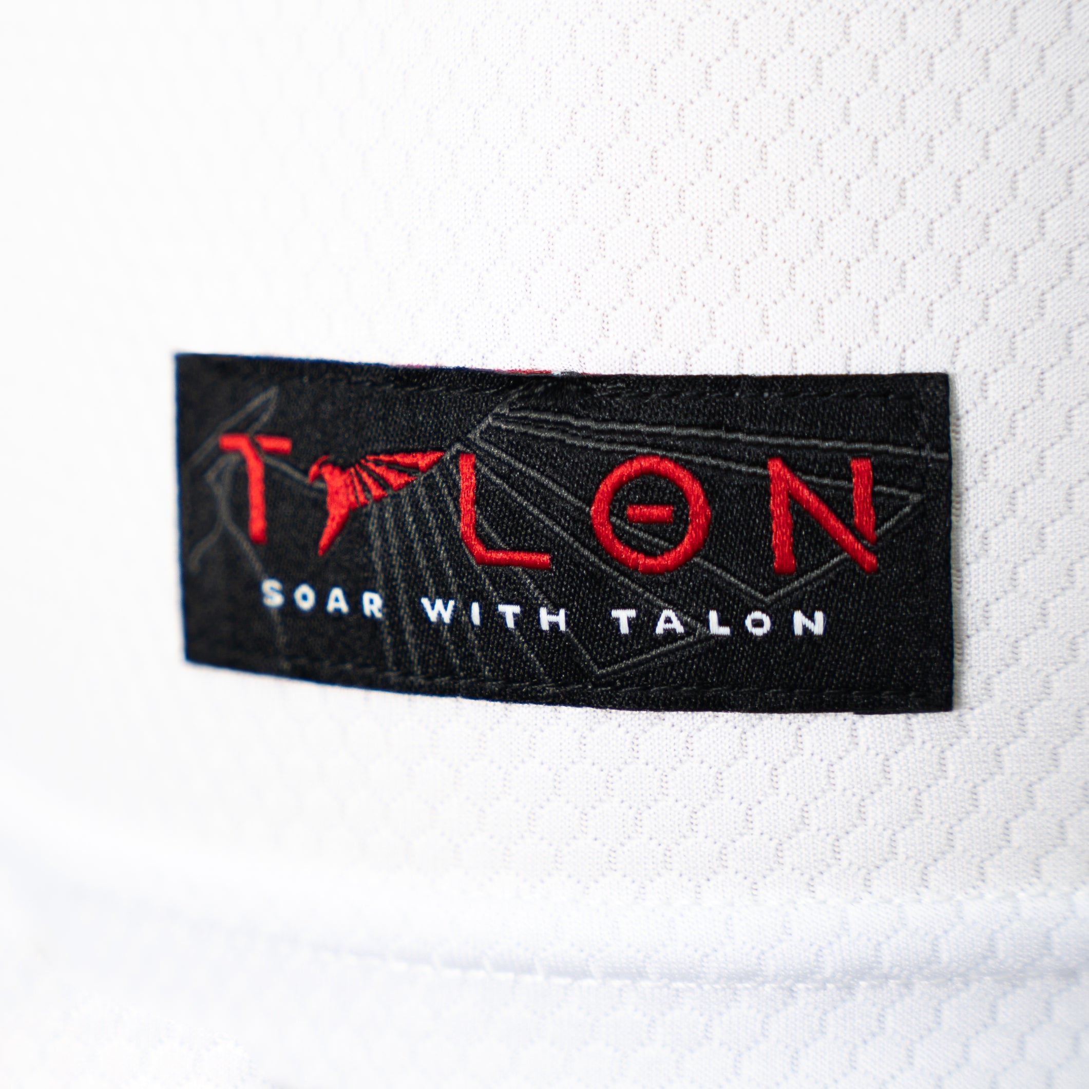 Talon Esports